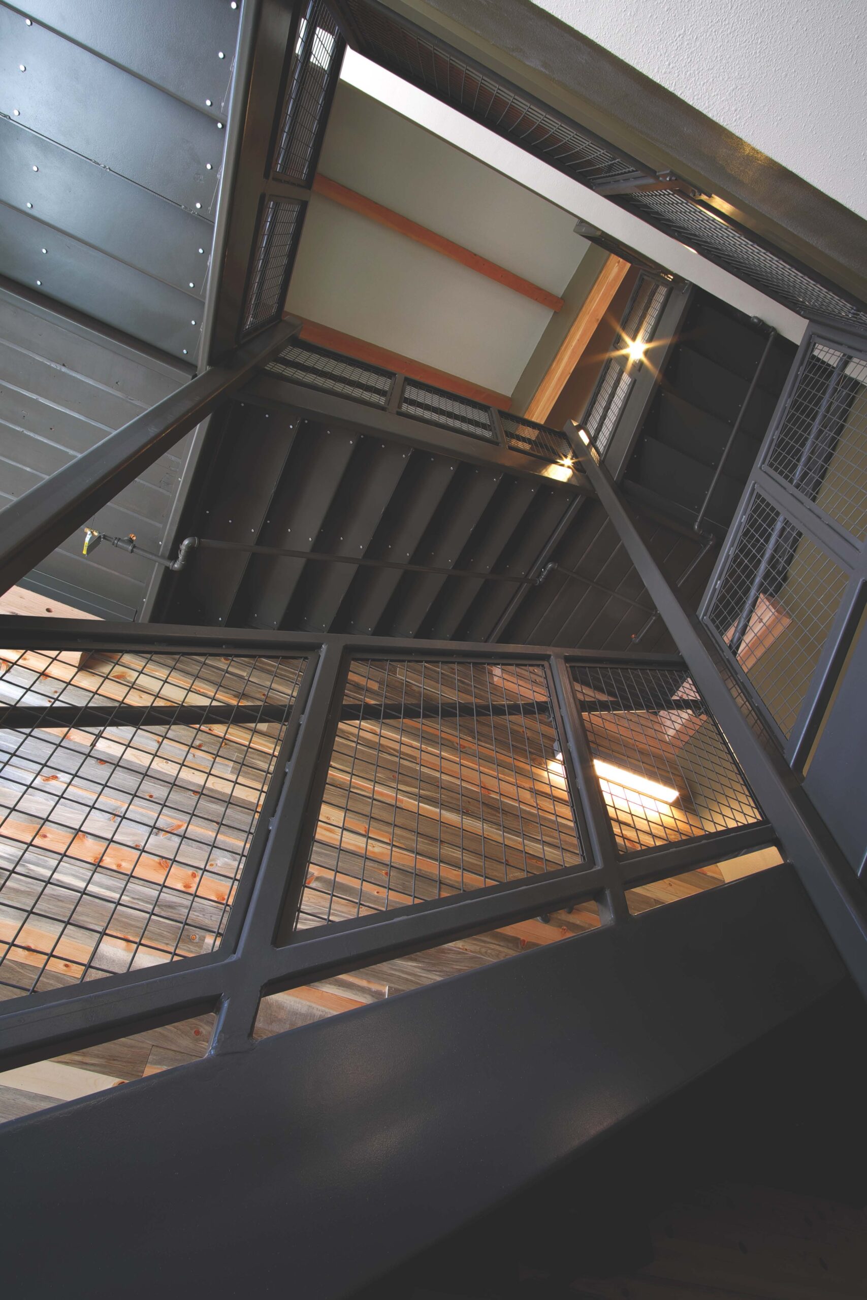 PAINTBRUSH DORMS – Mosaic Architecture